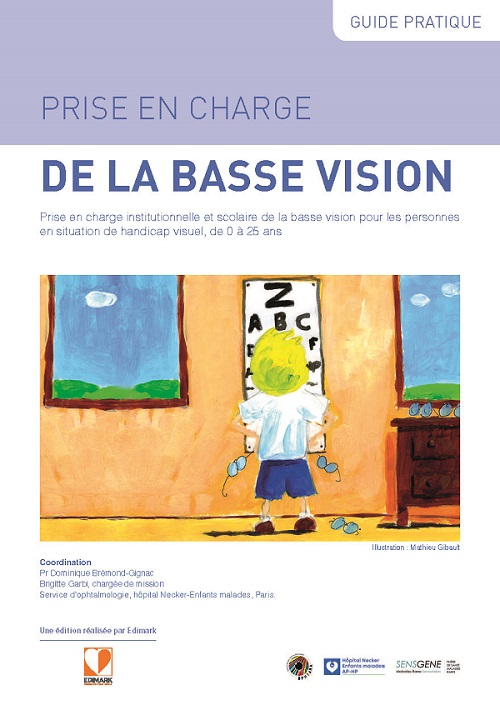 Prise en charge de la basse vision - guide pratique - CREAI PACA et Corse